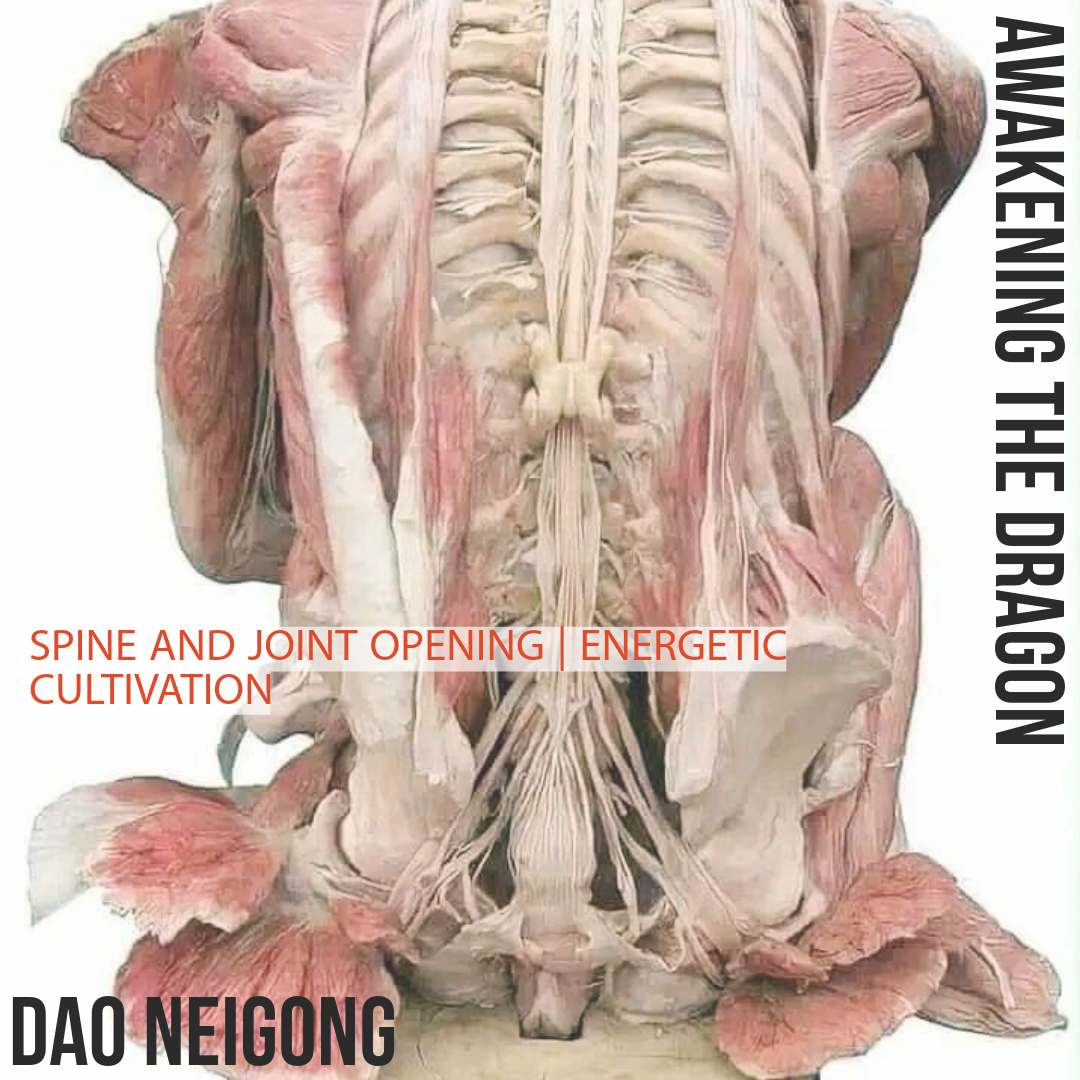 Awakening the Dragon | Nei Gong - DAO NEIGONG